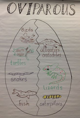 A Garden of Children: Going Eggy! Study of Oviparous Creatures